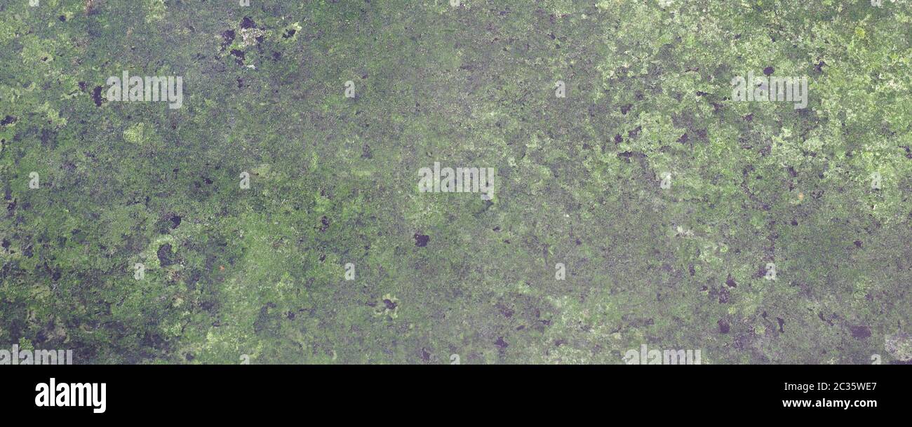 wide Moss on grey concrete texture useful as a background Stock Photo ...