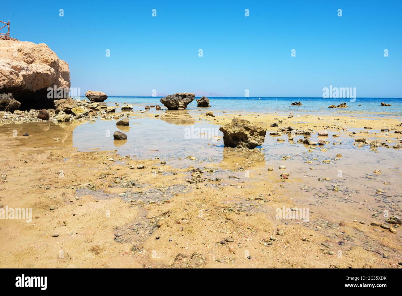 Coral reef Egypt Stock Photo - Alamy