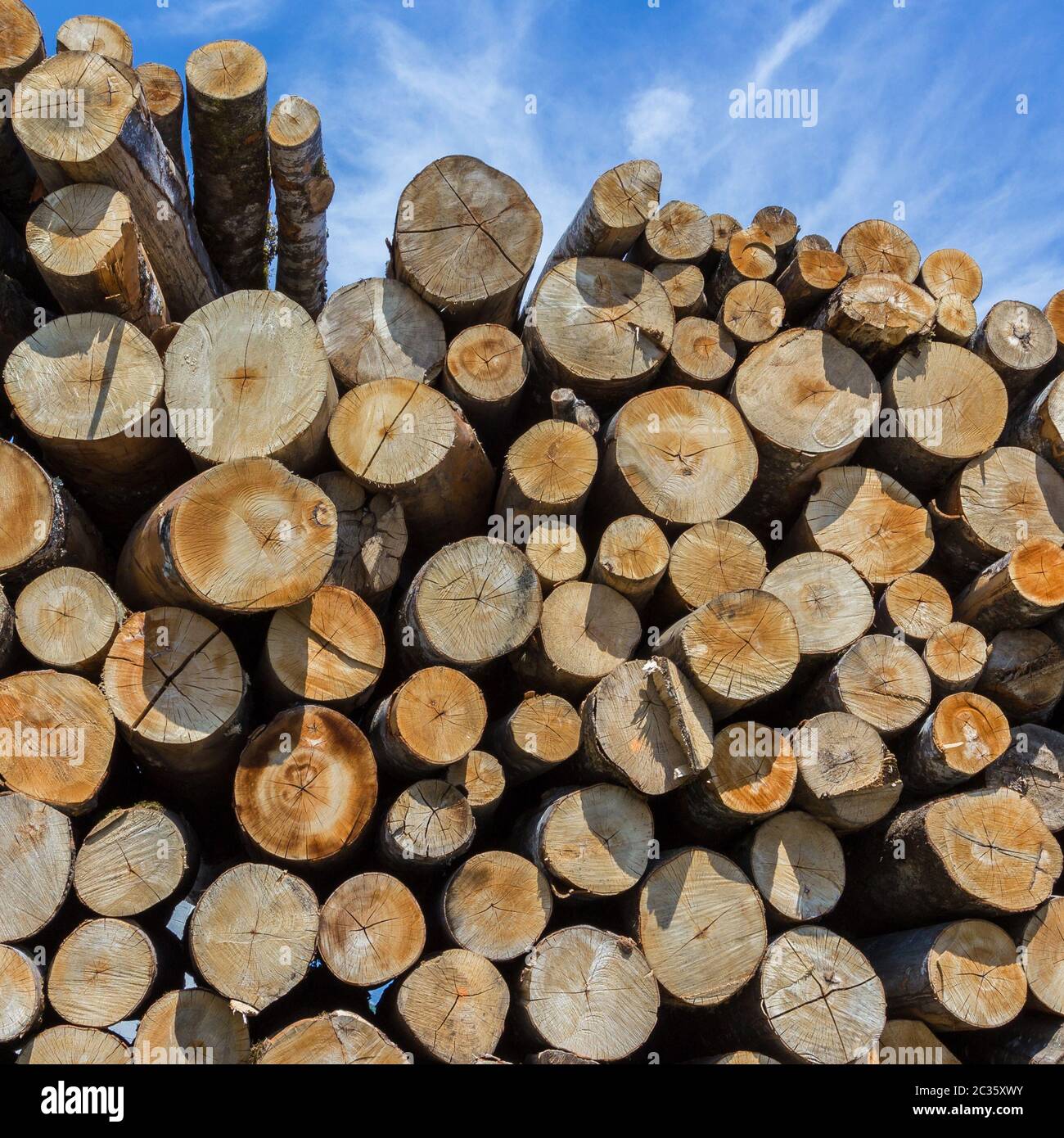 Stacks of firewood Stock Photo - Alamy