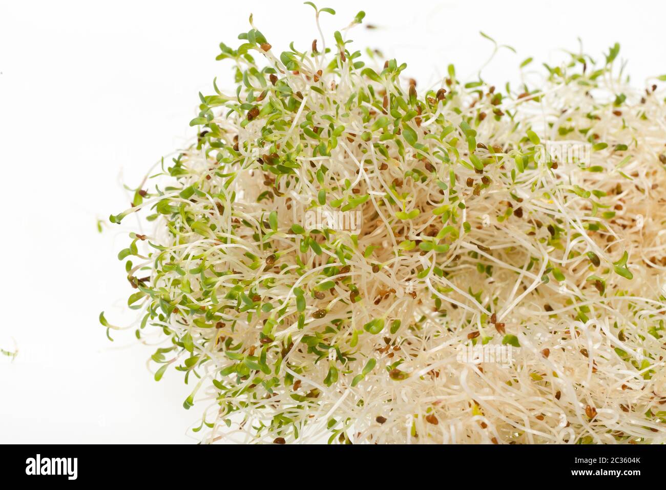 The healthy diet. Fresh sprouts isolated on white background Stock ...