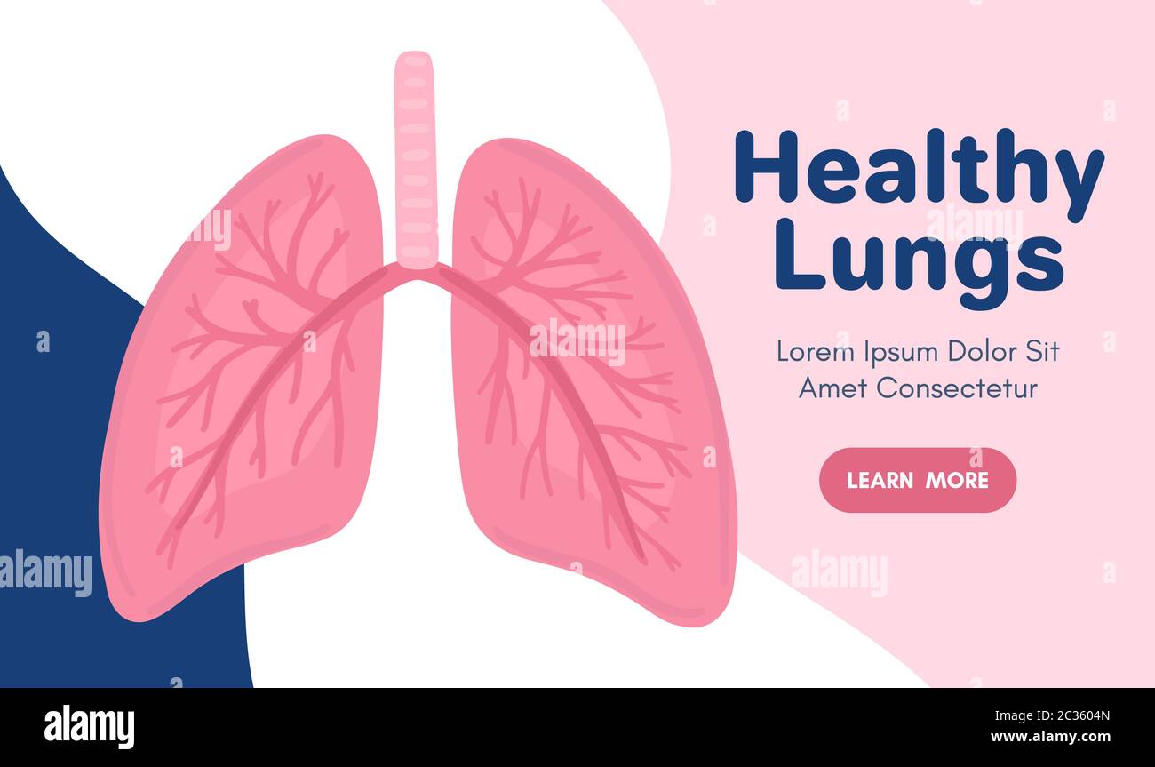 Vector healthy human lungs. Background for label, advertisement of ...