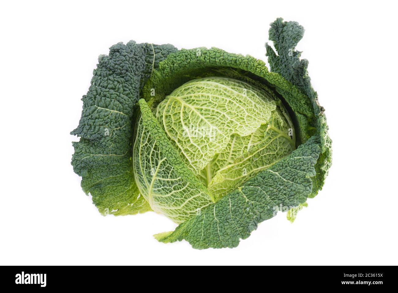 Fresh green savoy cabbage Stock Photo - Alamy