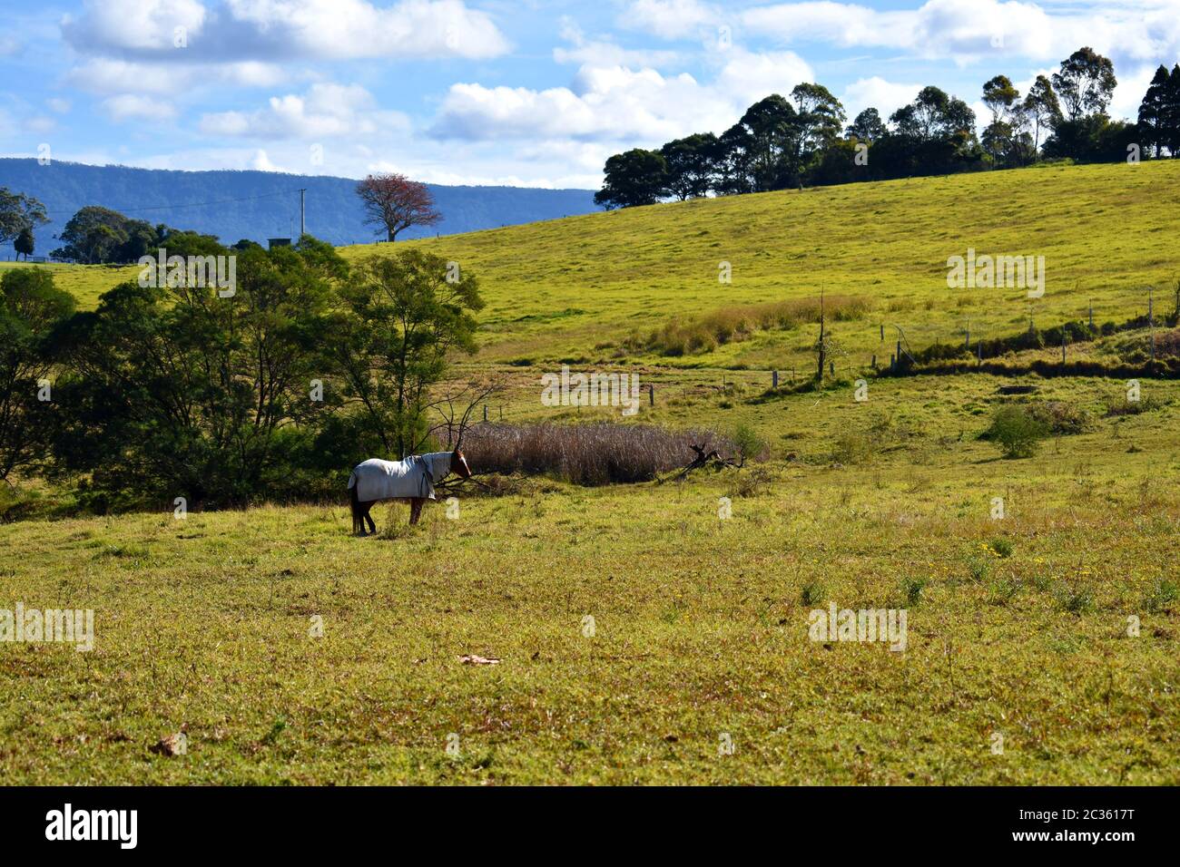 Australian ranch and horse hi-res stock photography and images - Alamy