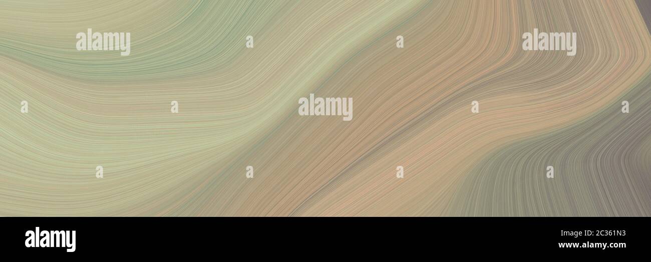 abstract dynamic header design with rosy brown, gray gray and ash gray ...