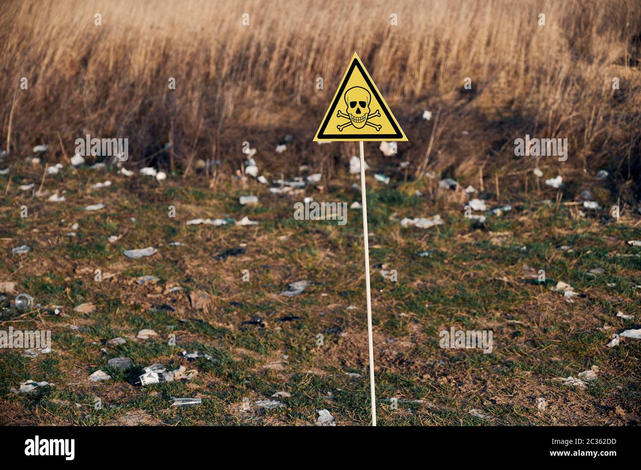 Toxic Skull And Crossbones Triangle