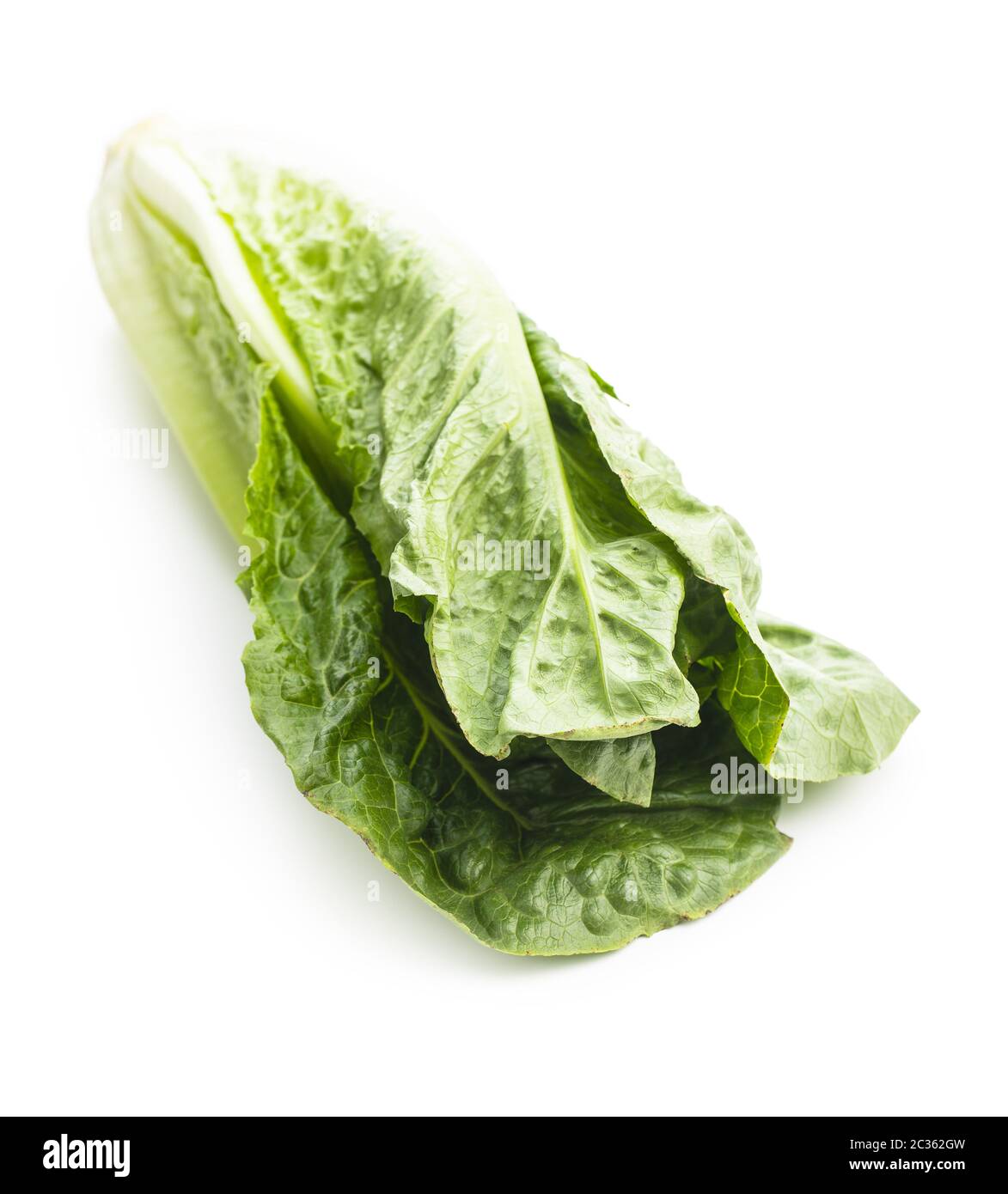 Fresh green Romaine Lettuce. Leaves of Lactuca sativa isolated on white background Stock Photo ...