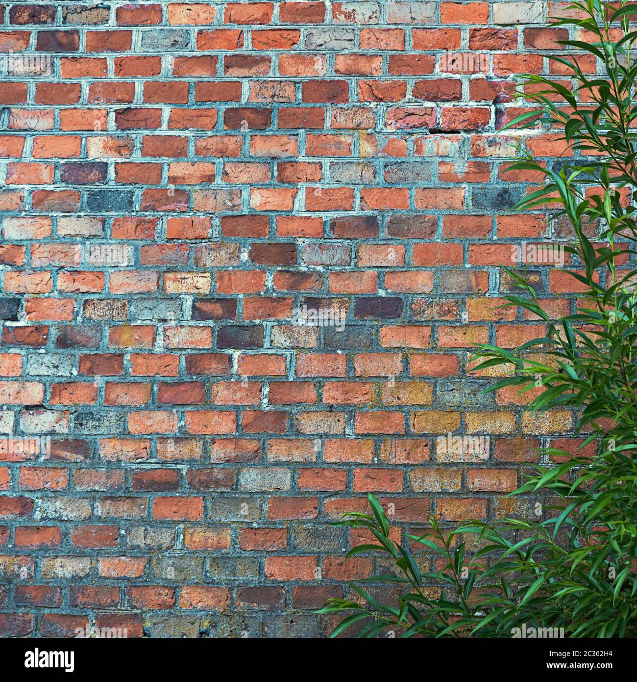 Dark green brick patterns hi-res stock photography and images - Alamy