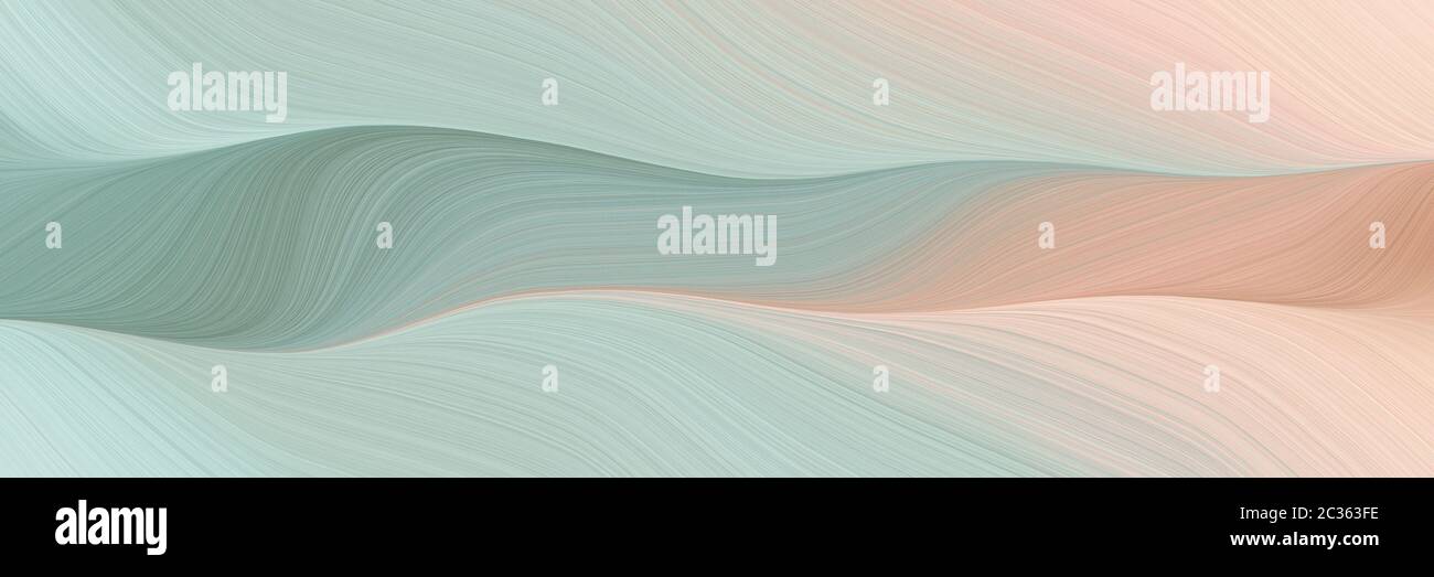 abstract modern banner with ash gray, light slate gray and baby pink ...