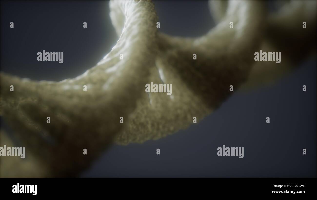 loopable structure of the DNA double helix animation Stock Photo - Alamy
