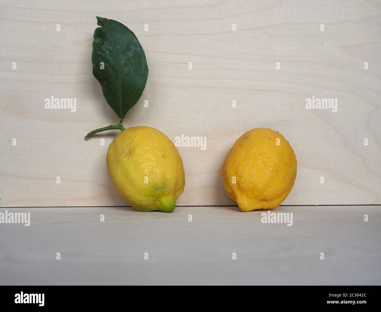 two lemons (Citrus x limon) fruit vegetarian food Stock Photo - Alamy