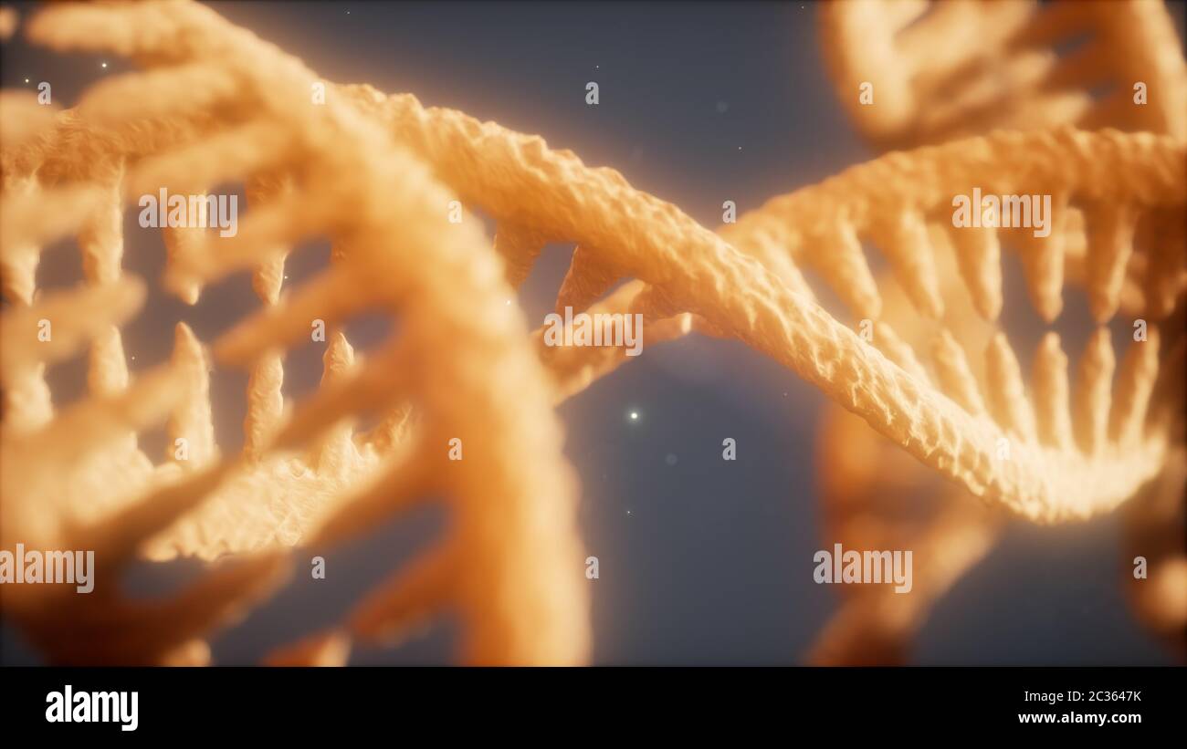 double helical structure of dna strand close-up animation Stock Photo ...