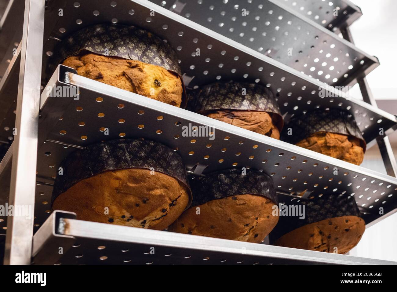 Italian traditional chirstmas panettone placed in a metal shelf upside ...
