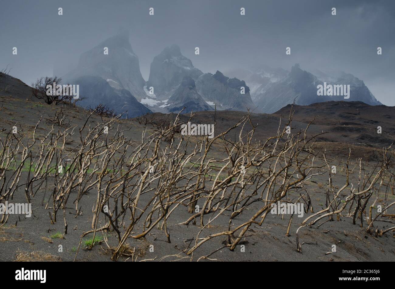 Burnt ground hi-res stock photography and images - Alamy