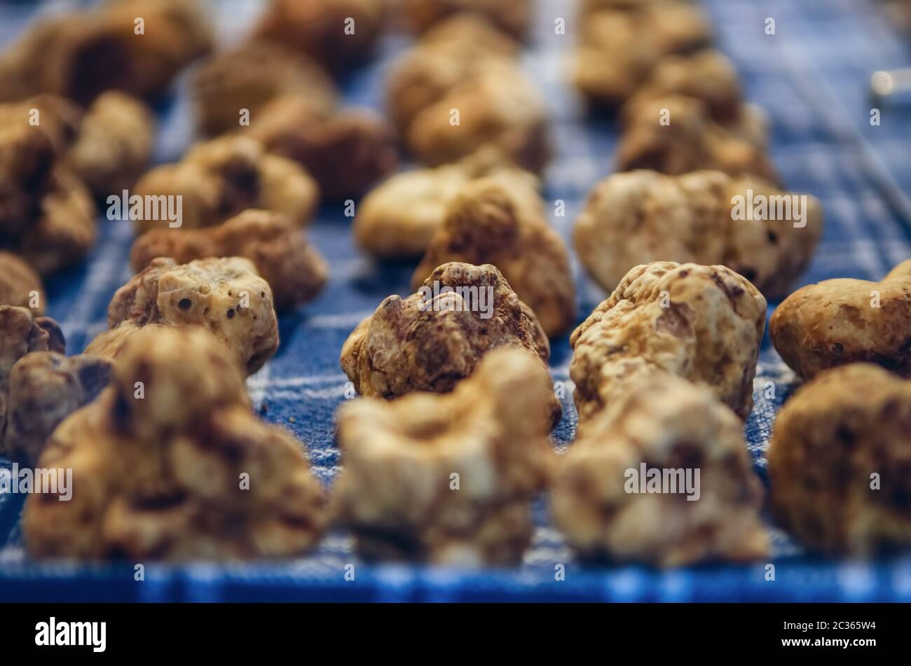 White Truffles (Tuber Magnatum Pico) on a trader stall of the Fiera del ...