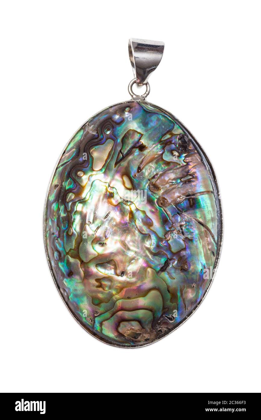 iridescent natural abalone shell in pendant isolated on white ...
