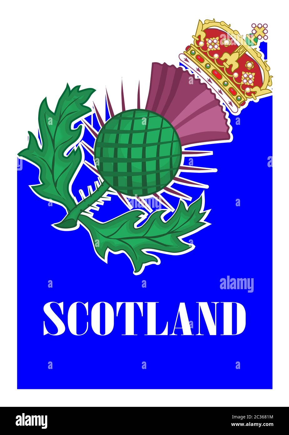 The thistle symbol of SCotland over a white background Stock Photo - Alamy
