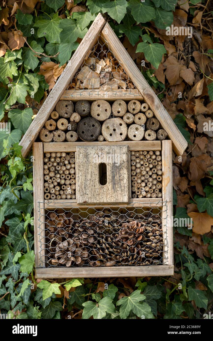 Small wooden house for insects in garden Stock Photo - Alamy