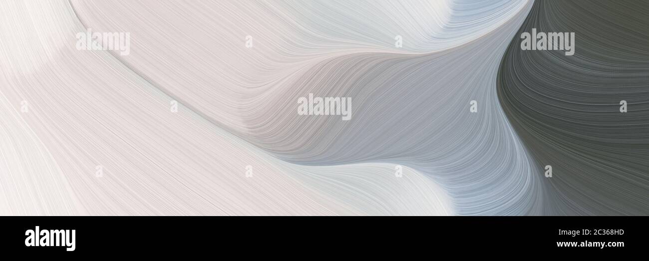 abstract artistic horizontal header with light gray, dark slate gray ...