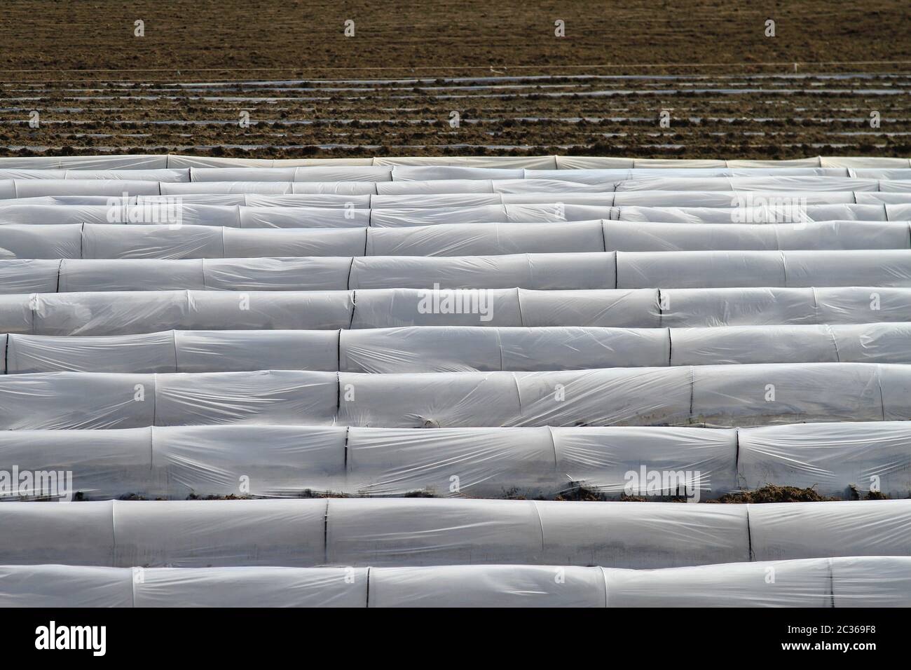 Floating row cover hi-res stock photography and images - Alamy