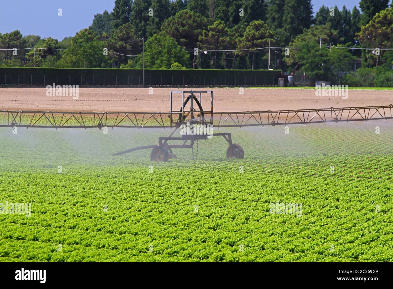Green Agriculture Field With Water Irrigation System Stock Photo - Alamy