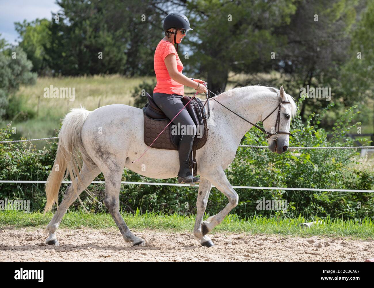 riding girl are training her horse in equestrian center Stock Photo - Alamy