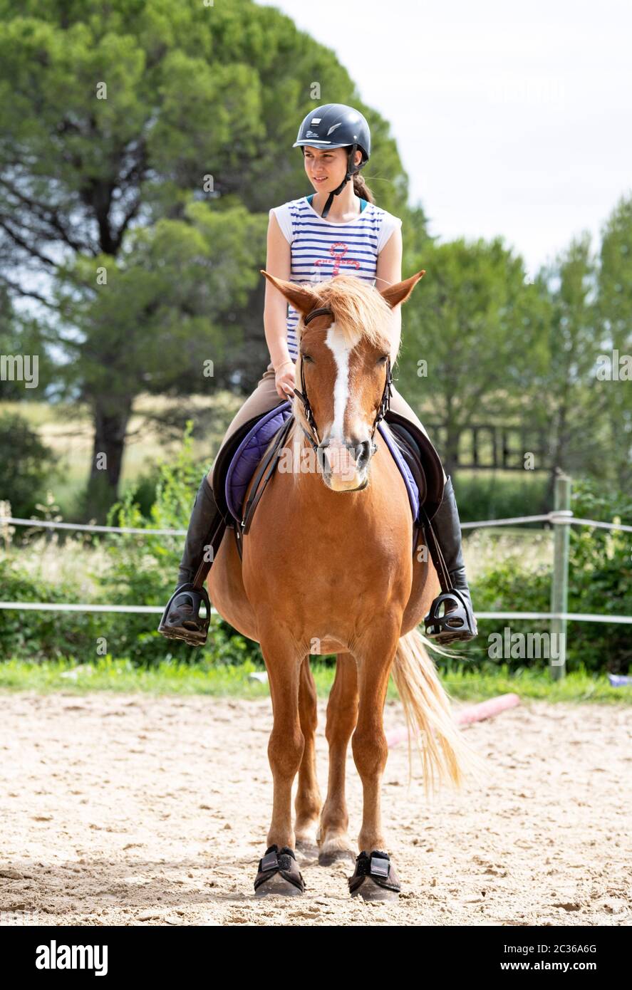 riding girl are training her horse in equestrian center Stock Photo - Alamy