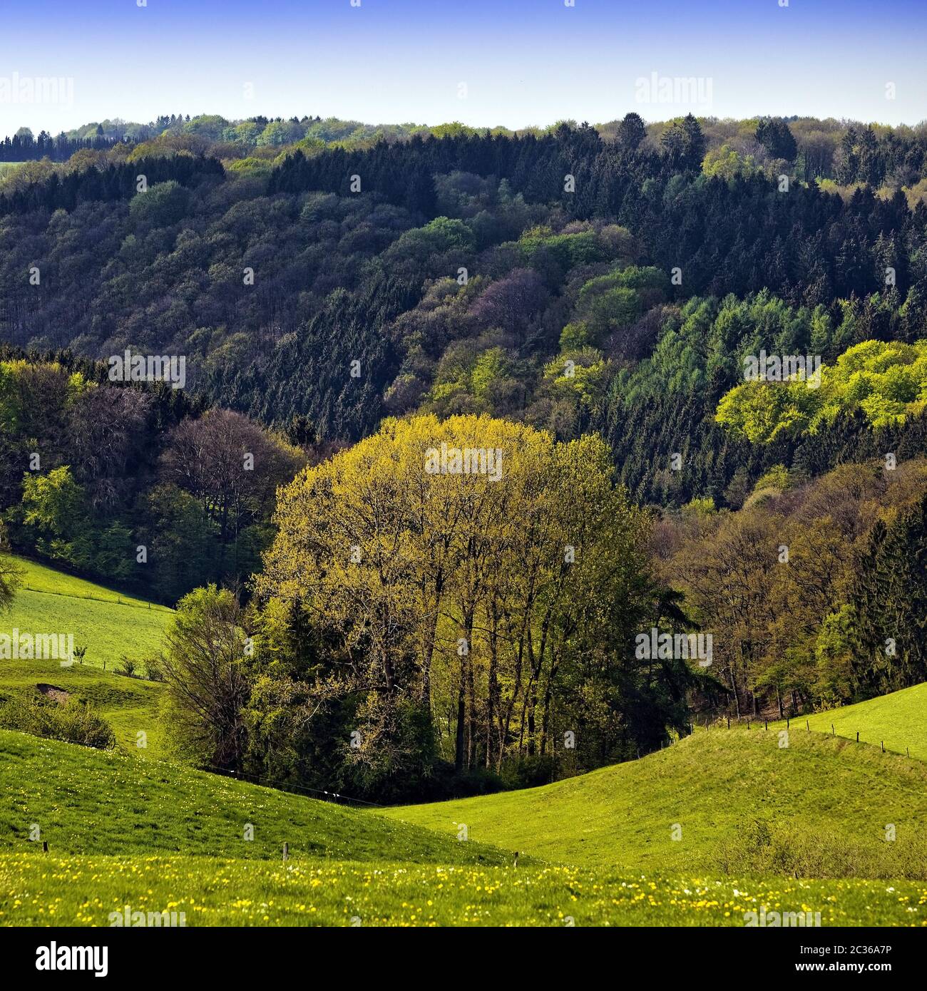 Exterior Forests High Resolution Stock Photography and Images - Alamy