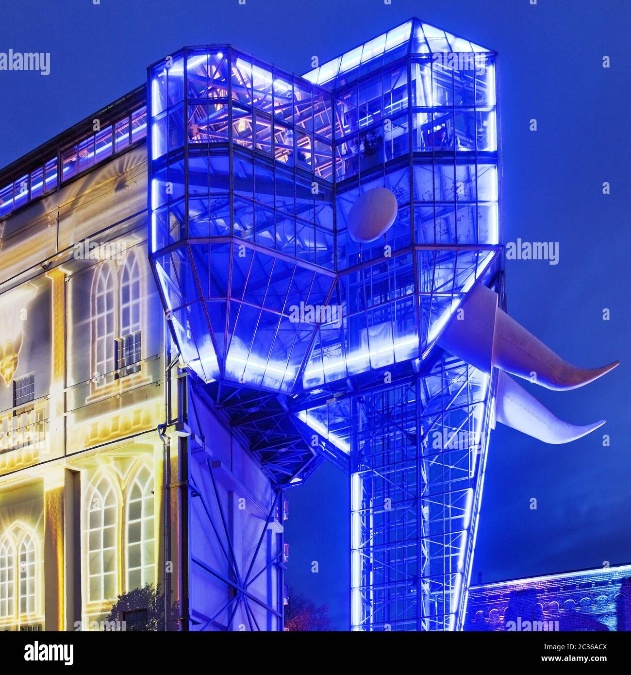 Autumn lights with illuminated glass elephant in the Maximilianpark ...