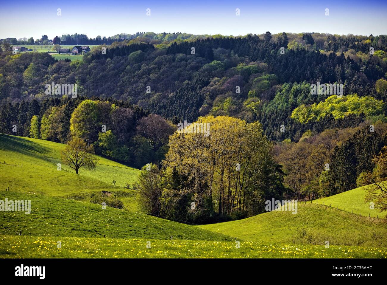 Hilly landscape with meadows and forests in spring, Radevormwald ...