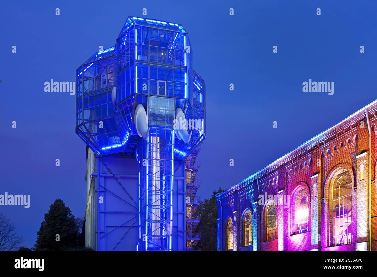 Autumn lights with illuminated glass elephant in the Maximilianpark ...