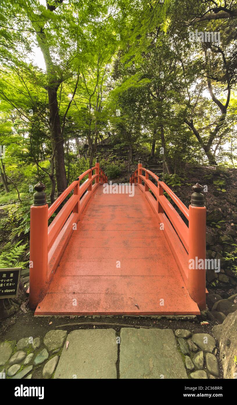 Japanese maples hi-res stock photography and images - Alamy