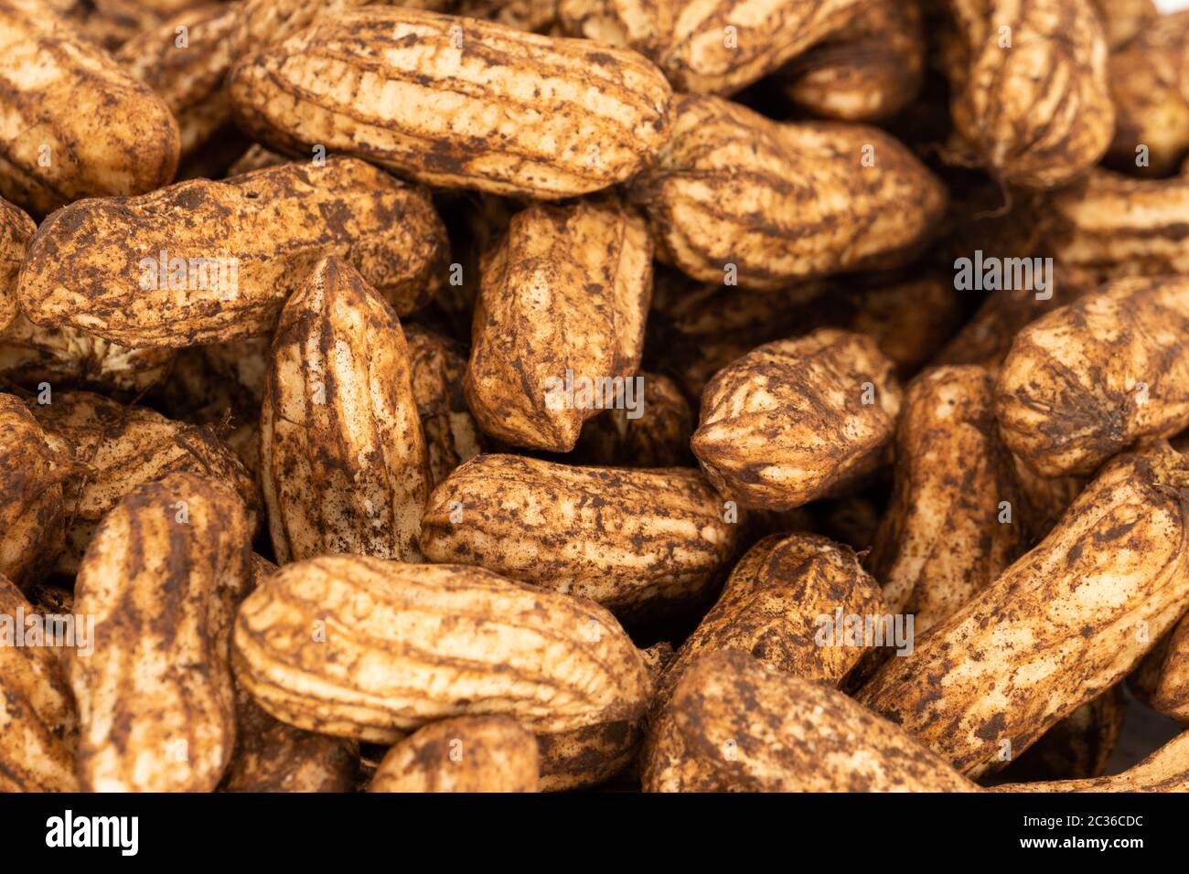 Picking peanuts hi-res stock photography and images - Alamy