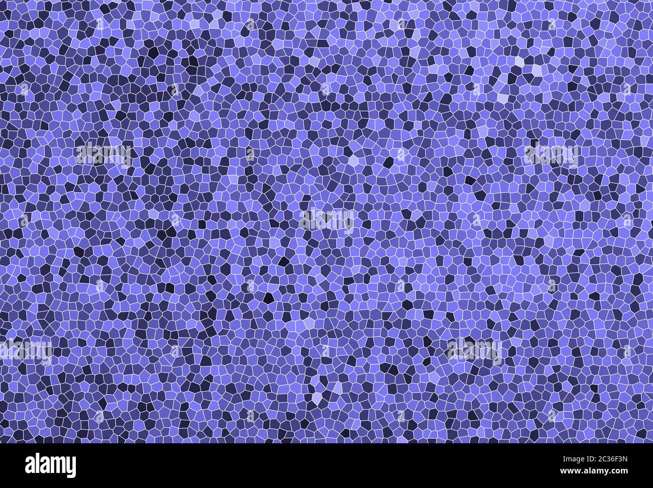 Facet cells hi-res stock photography and images - Alamy