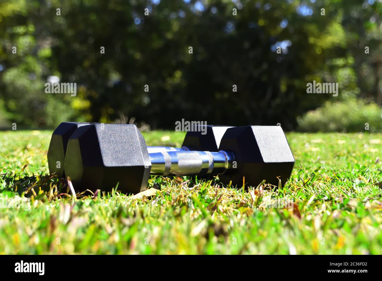 Two black dumbbells on grass Stock Photo - Alamy