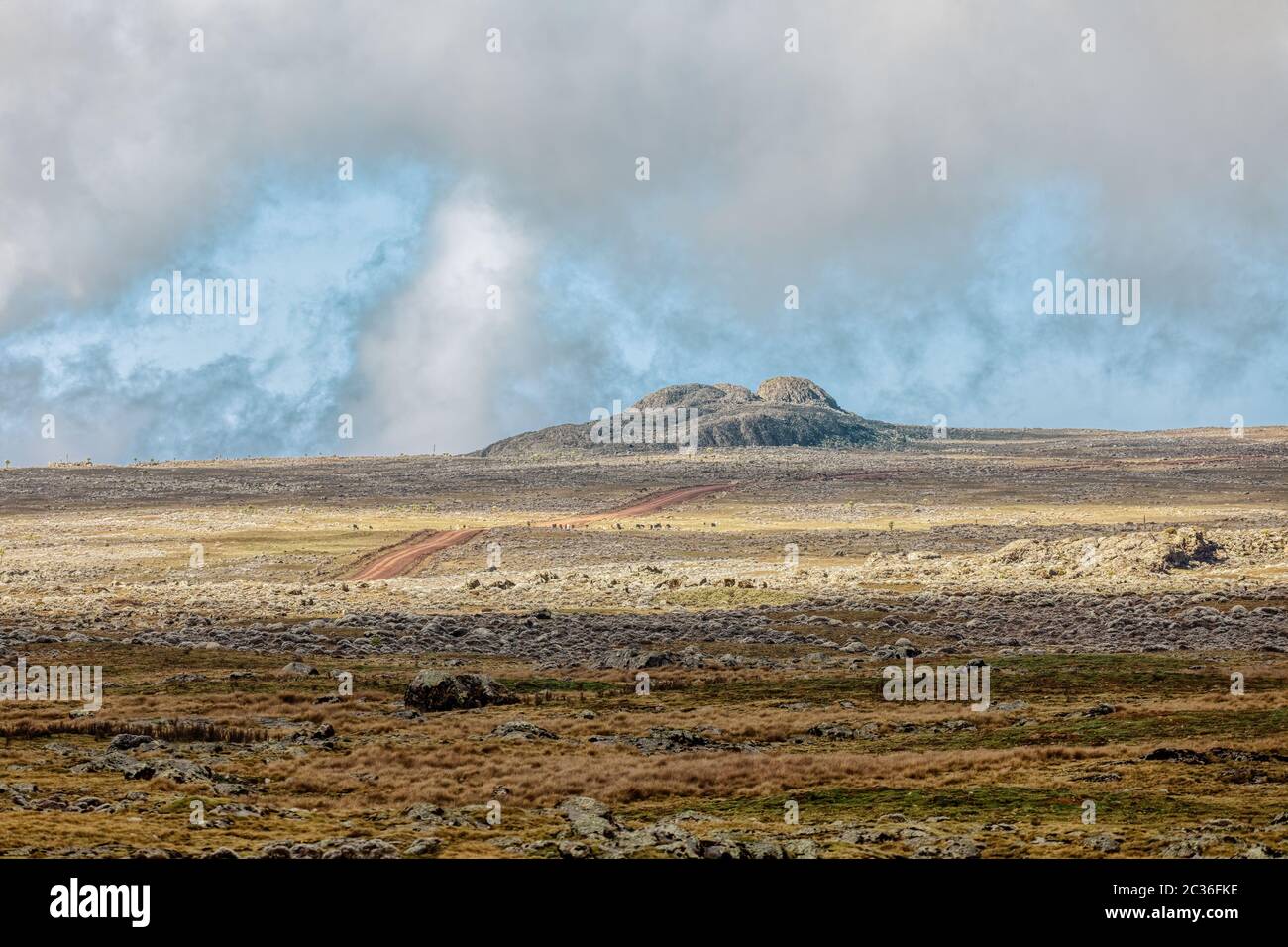 beautiful landscape, Ethiopian Bale Mountains National Park. Ethiopia ...
