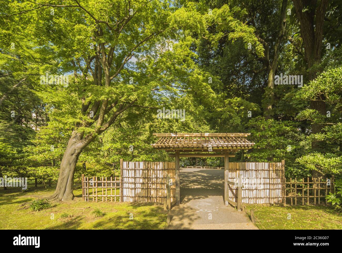 Bamboo gate hi-res stock photography and images - Alamy