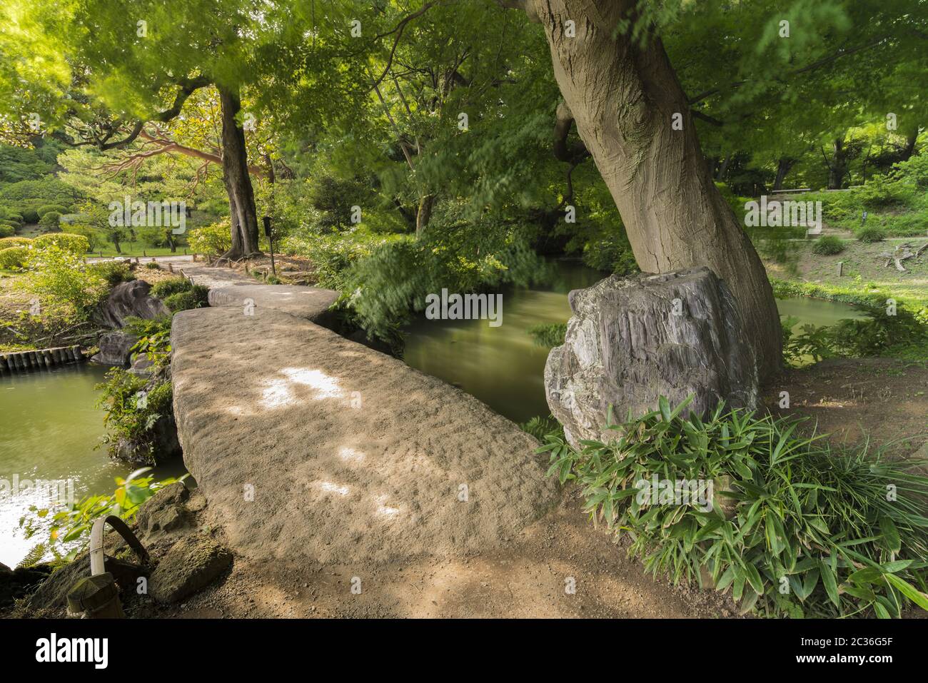 Large stone bridge named Togetsu bridge on a pond under a big mapple ...