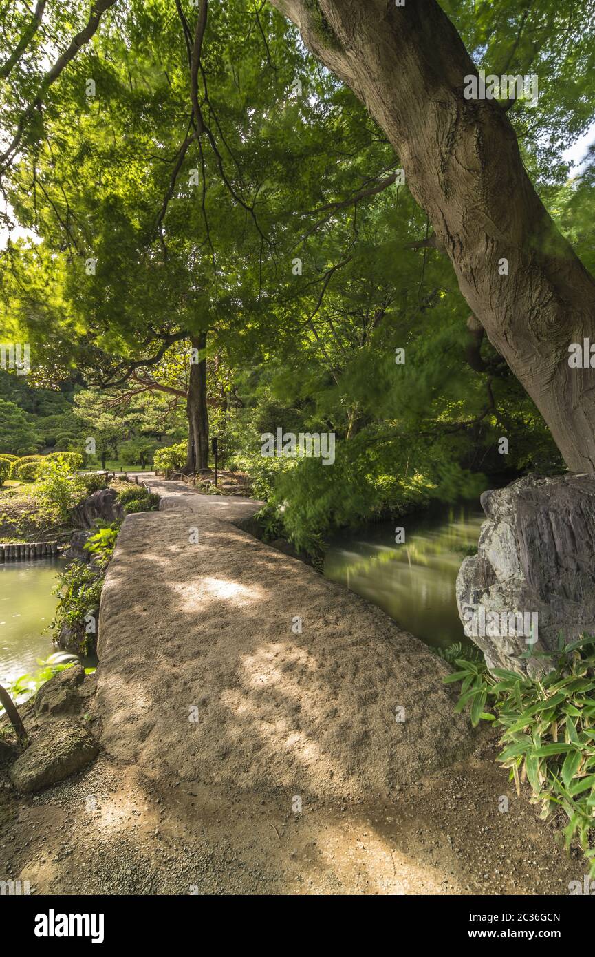 Large stone bridge named Togetsu bridge on a pond under a big mapple ...