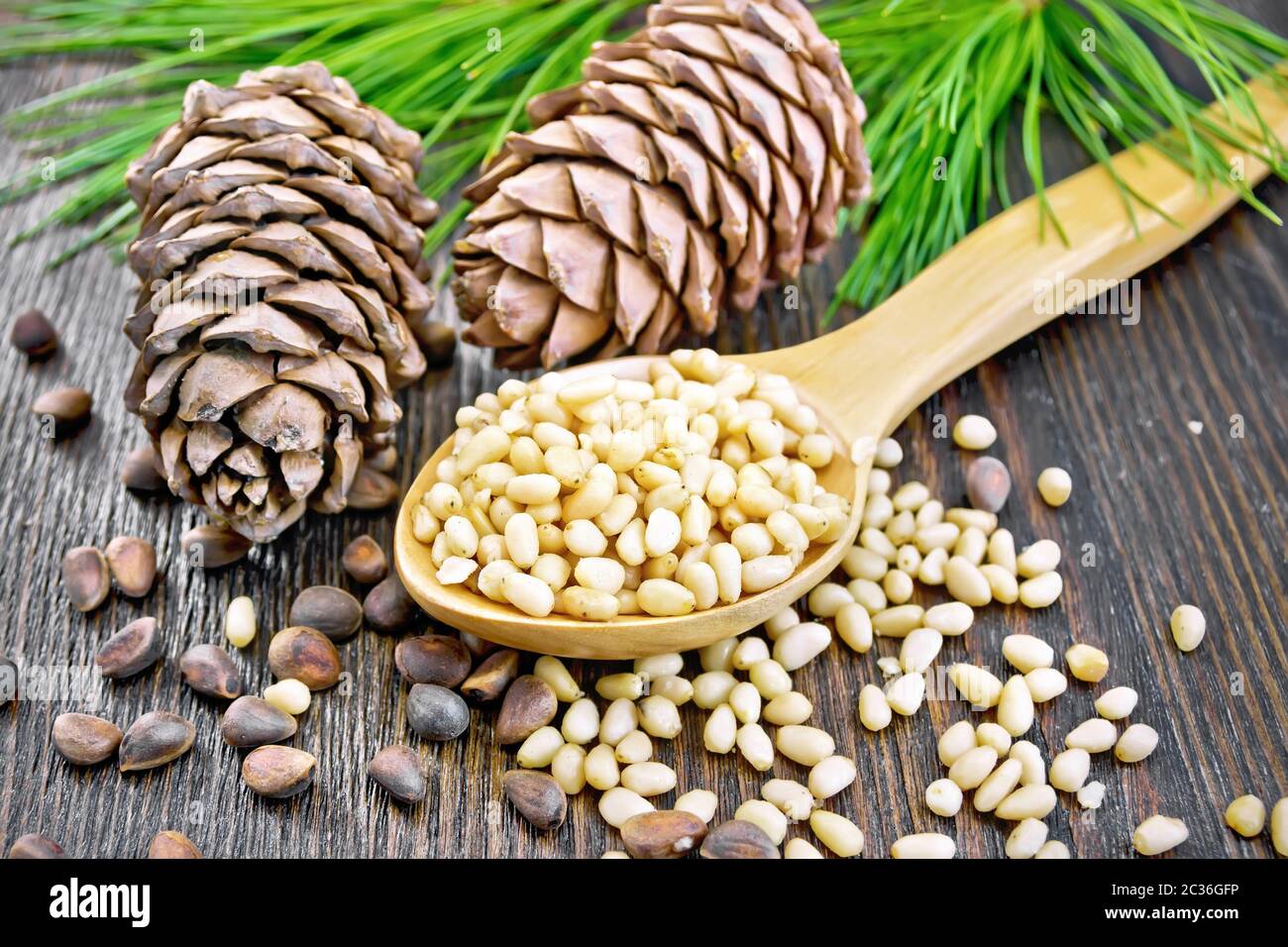 Peeled kernels of cedar nuts in a spoon, two pine cones, green branches ...
