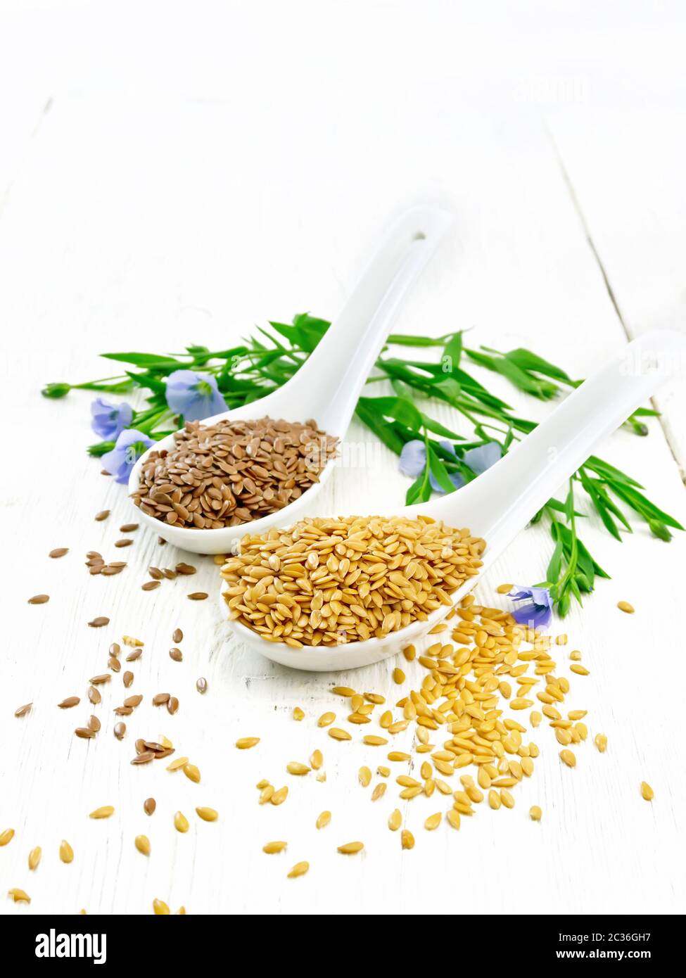 Linen seeds white and brown in two spoons, stalks of flax with blue ...