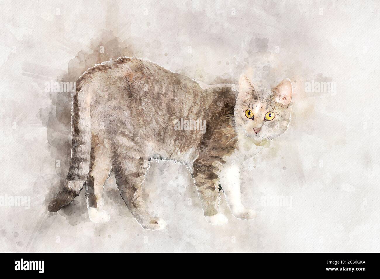 A graceful gray tabby cat with yellow eyes stands and looks at the ...