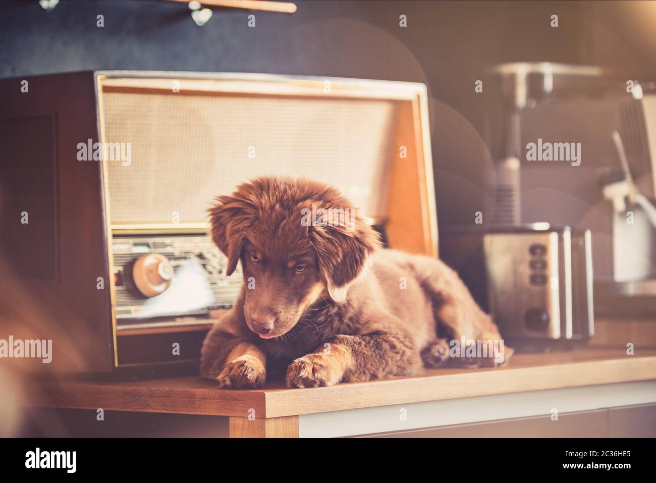 Listening to radio hi-res stock photography and images - Alamy