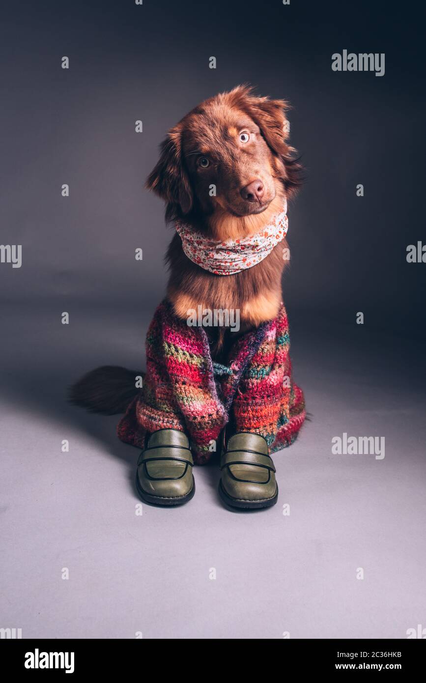 Lift shoes hi-res stock photography and images - Alamy