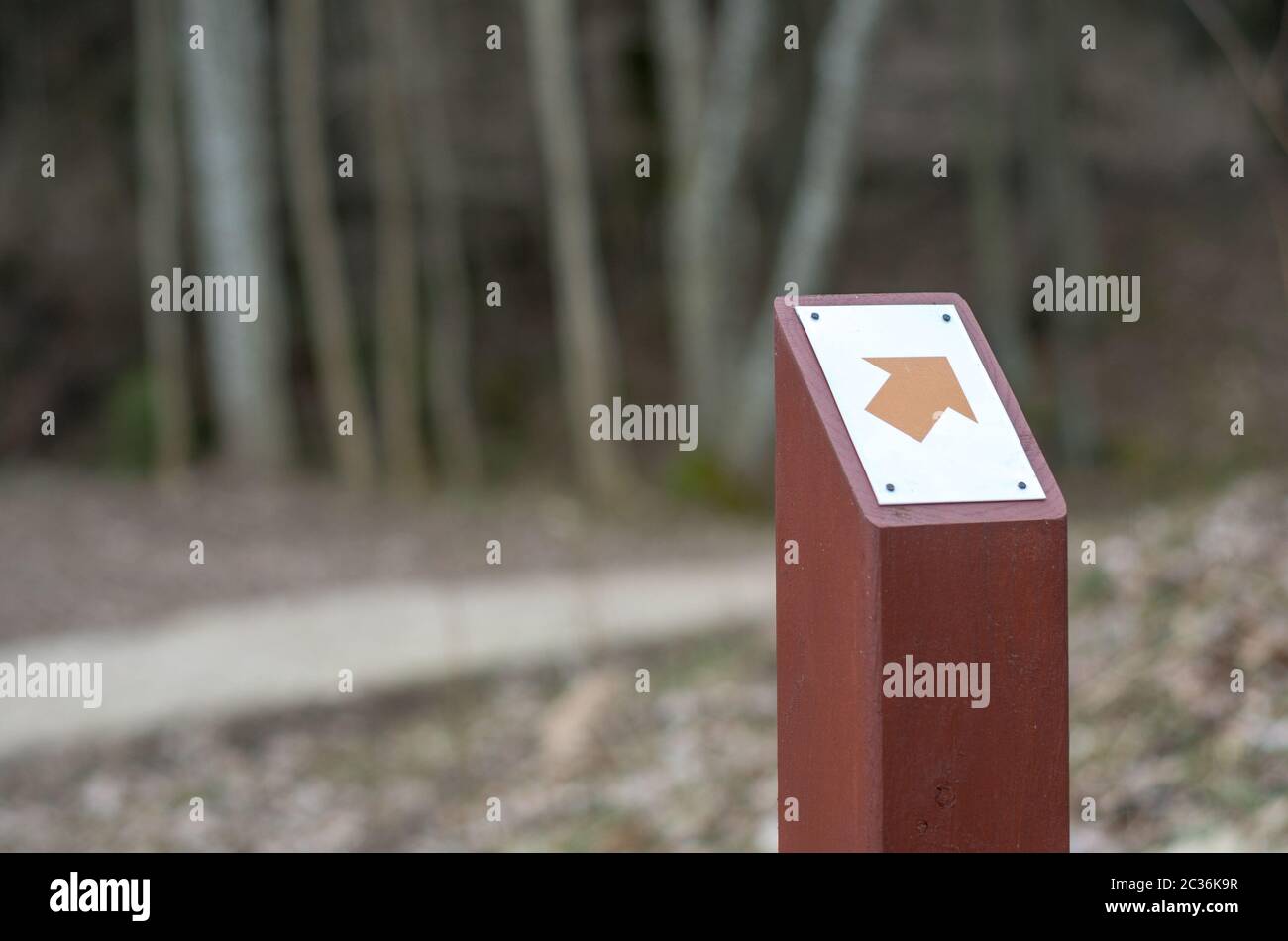 Direction sign in the forest. Pathway in lithuanian forests Stock Photo ...