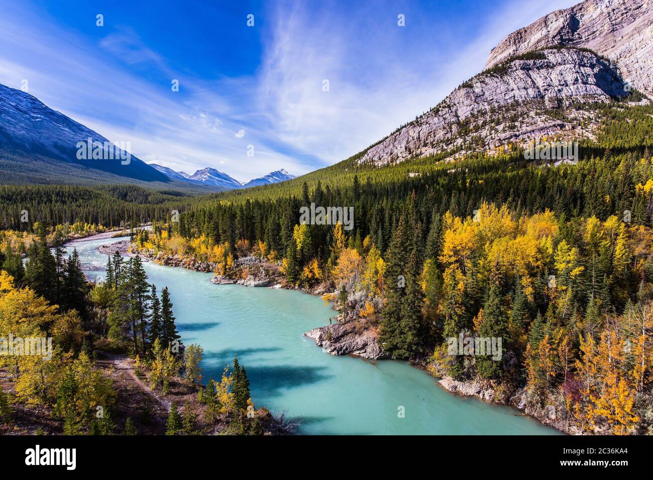 Warm forests hi-res stock photography and images - Alamy
