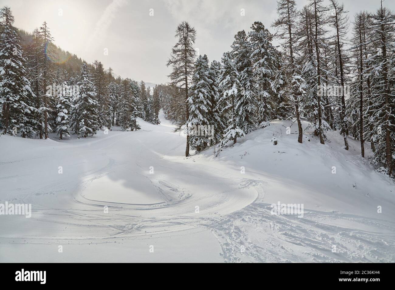 Skiing slope between snowy trees, beautiful winter landscape Stock ...