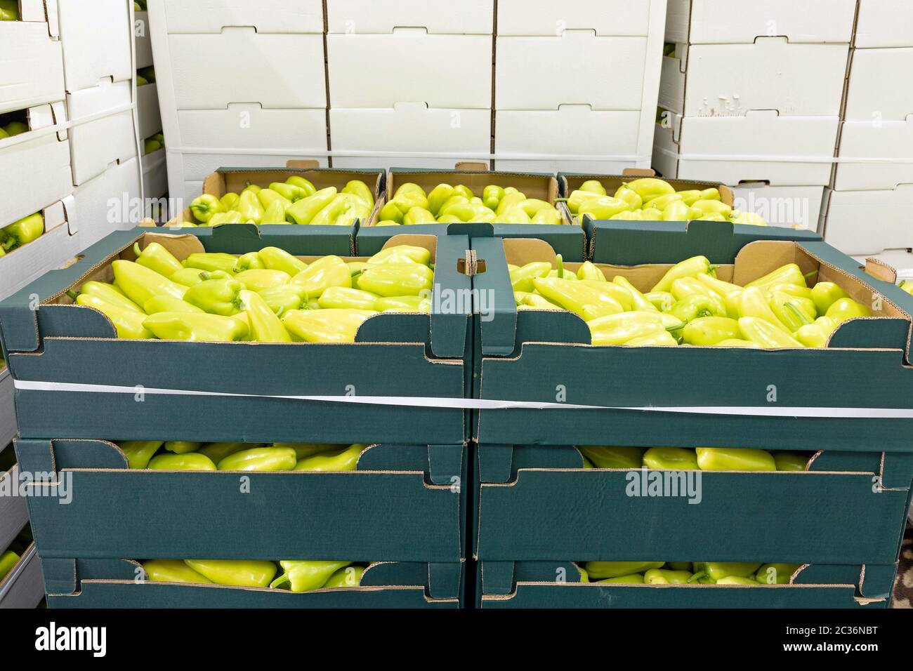Green Peppers in Boxes Storage Warehouse Stock Photo - Alamy