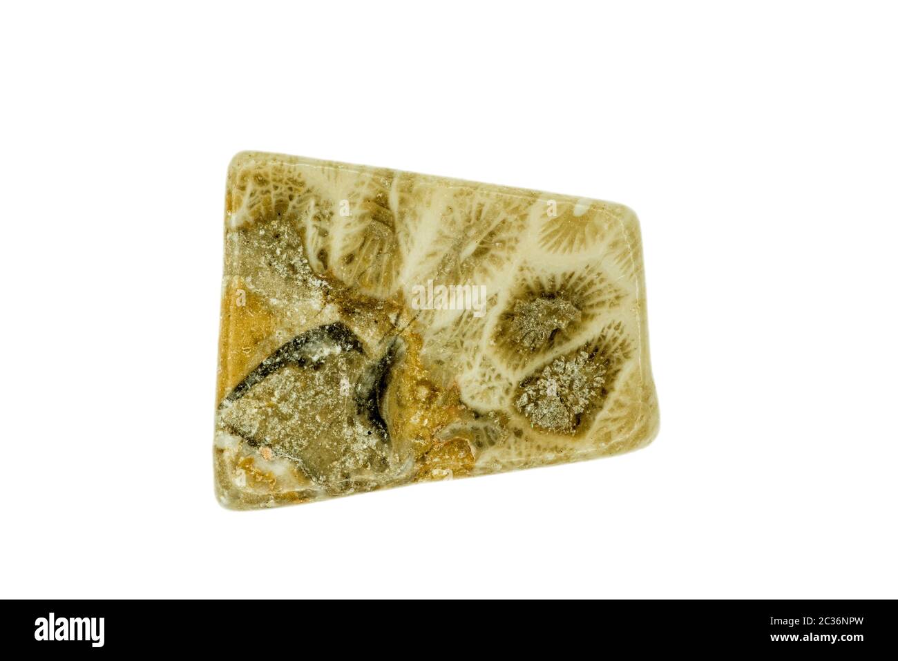 Andalusite gemstone cut out on white background Stock Photo - Alamy