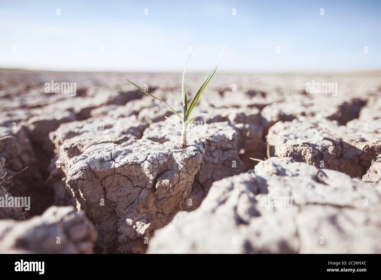 Land struggle hi-res stock photography and images - Alamy