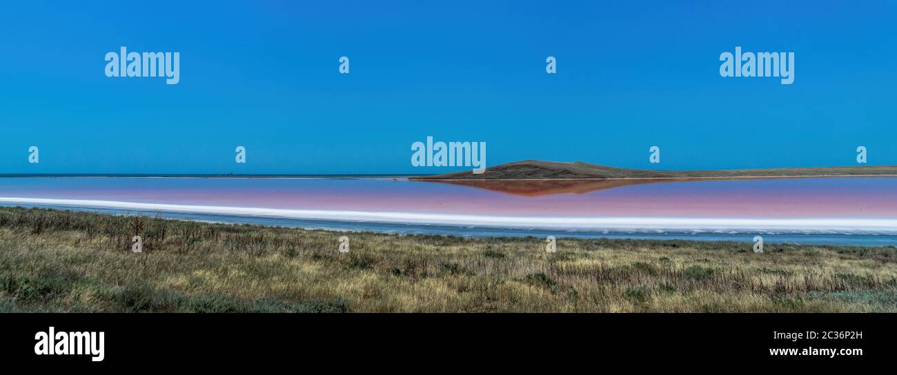 Brine and salt of a pink lake Koyash colored by microalgae Dunaliella ...